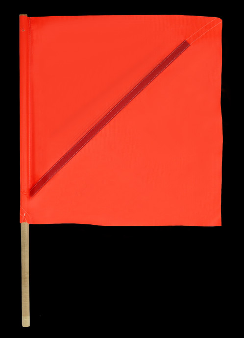 Flag (498x690), Png Download