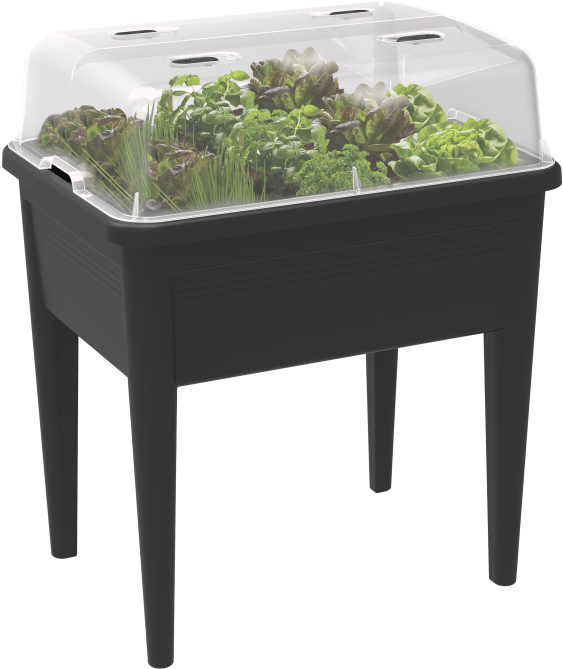 Home > Collection > Green Basics Grow Table Xxl (750x750), Png Download