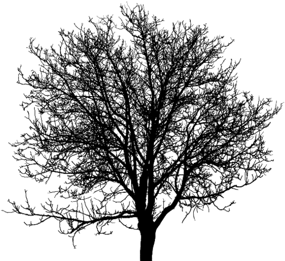 Image Du Blog Fr (600x640), Png Download