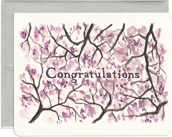Cherry Blossom Greeting Card - Sakura Card (800x661), Png Download