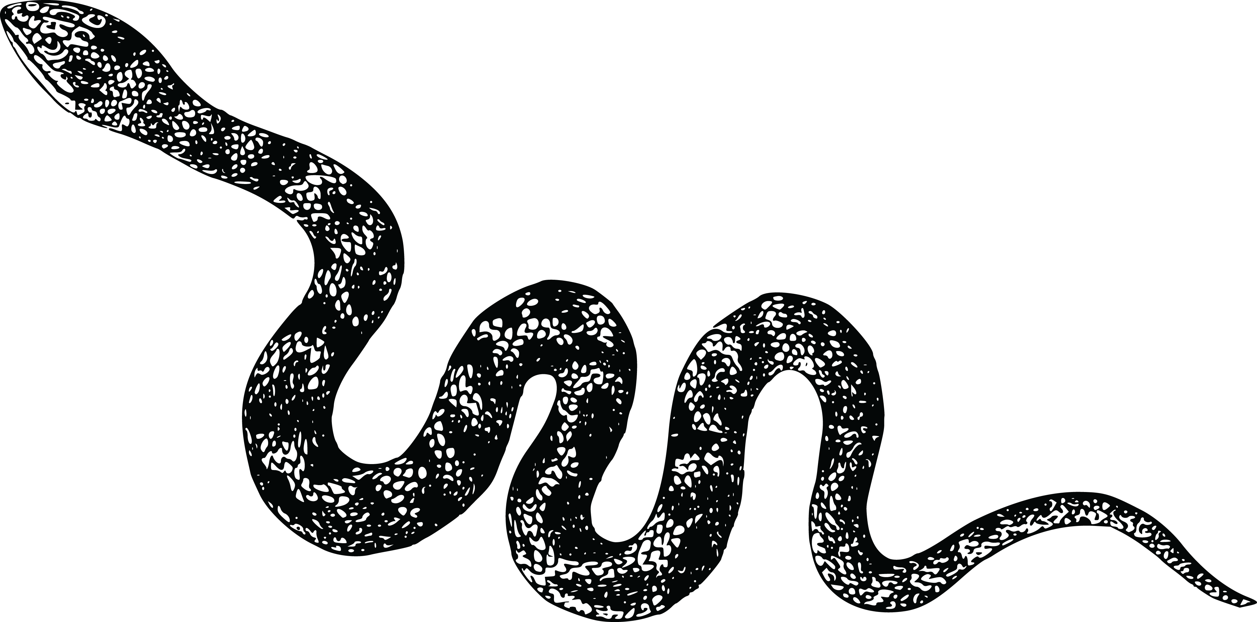 Download Viper Snake Png High-quality Image - Snake Black And White Png ...
