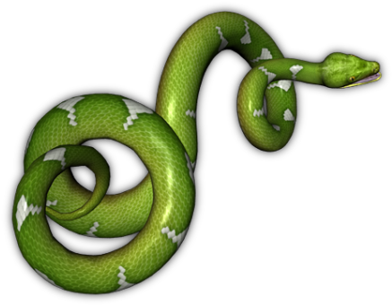 Snake Png Free Download - Transparent Background Snake Clipart (500x423 ...