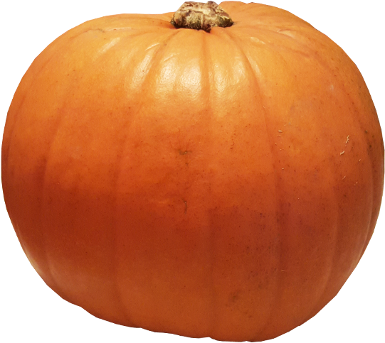 Pumpkin Transparent Image - Pumpkin (600x500), Png Download