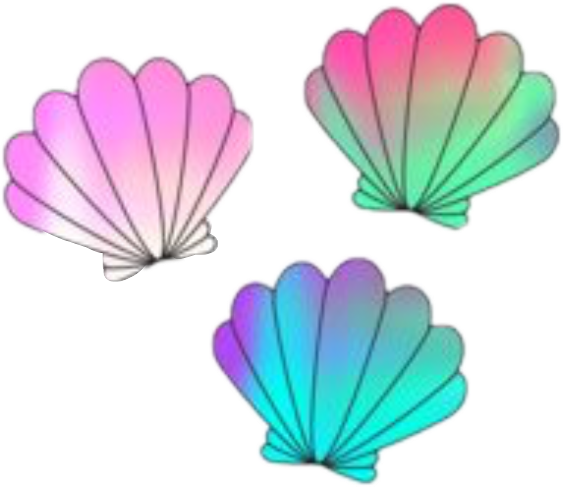 Png Transparent Library Seashell Pretty Frames Illustrations (1130x976 ...