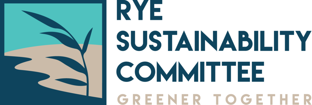 Rsc Logo 1 (1000x339), Png Download