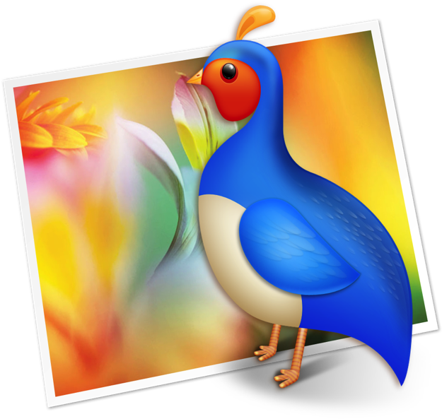 Download Mac App Store | Transparent PNG Download | SeekPNG