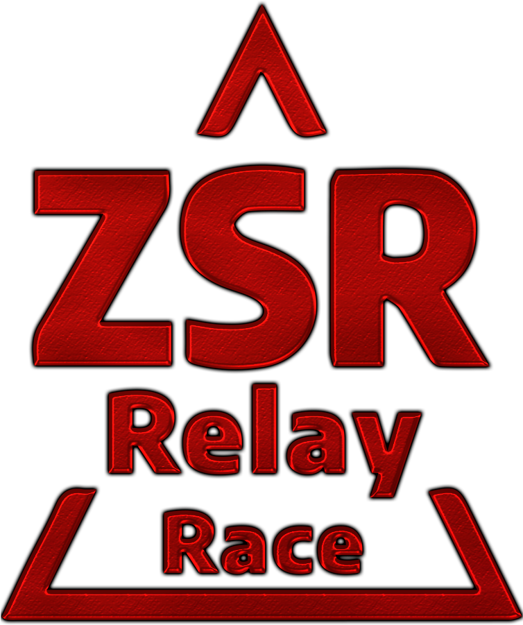 2019's 3d Zelda Relay Race Will Take Place On January (753x920), Png ...