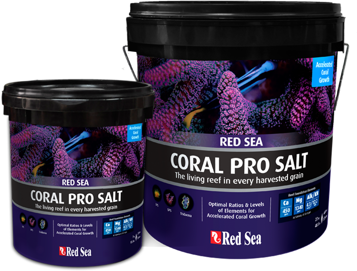 Red Sea Coral Pro Salt (800x540), Png Download