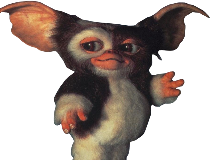 Gizmo Png (800x600), Png Download