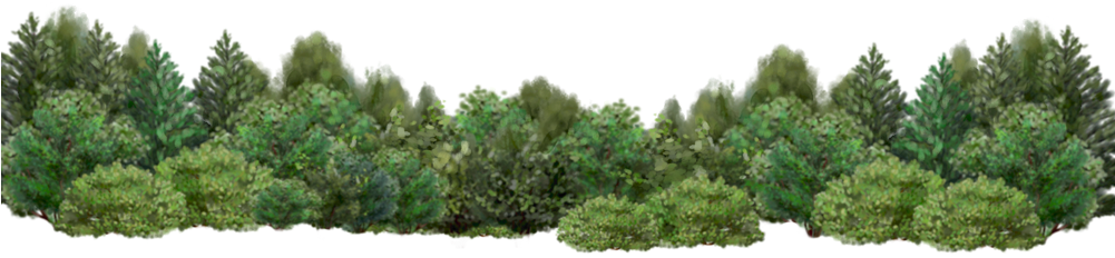 Green Trees Background Png (1000x319), Png Download