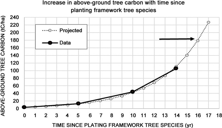 Increase In Above-ground Tree Carbon Sequestration (903x421), Png Download