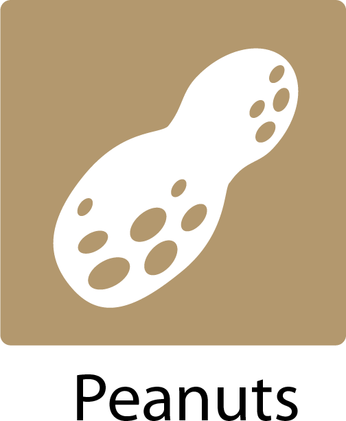 Peanut Icon (504x614), Png Download