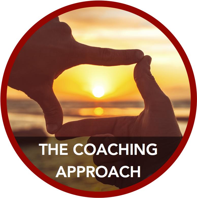 Download The Inama Coaching Focus Icon | Transparent PNG Download | SeekPNG