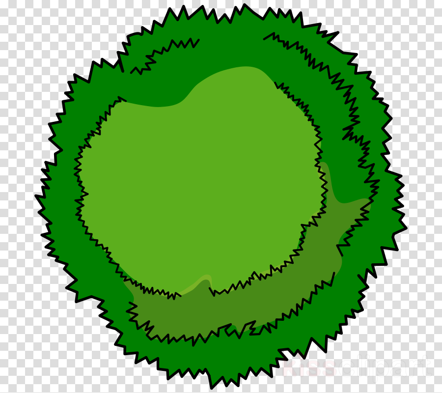 Tree Icon Top View Clipart Computer Icons Tree Clip (900x800), Png Download