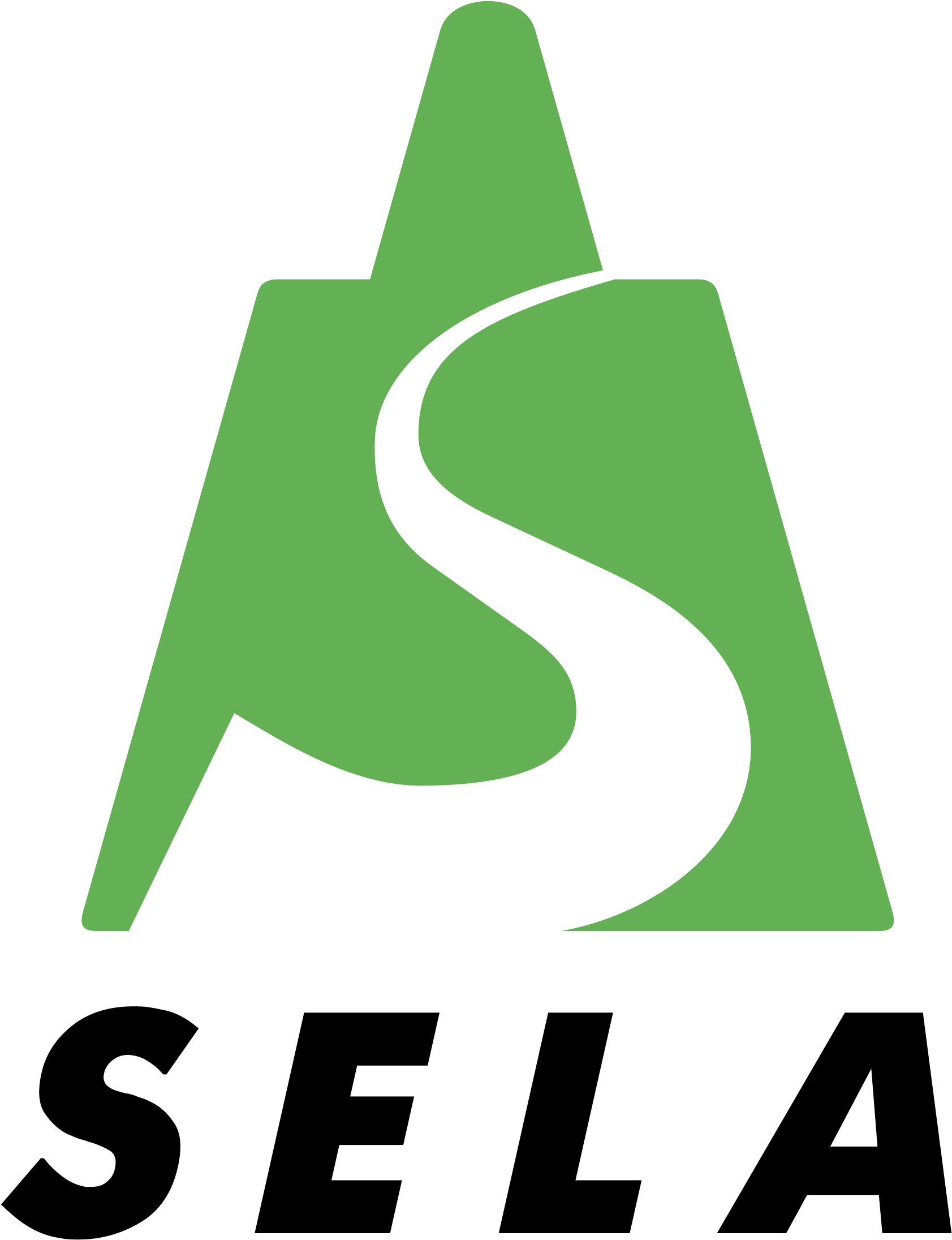 Sela Logo Transparent Vector Freebie Supply Png Snapple (2400x2400 ...