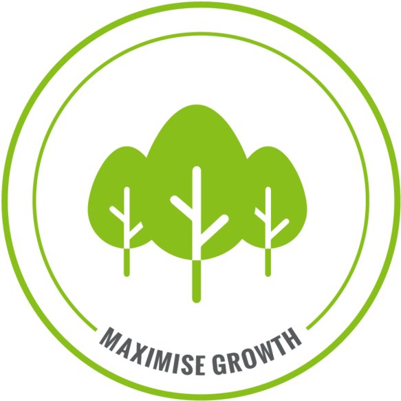 Maximise-growth - Portable Network Graphics (1000x1000), Png Download