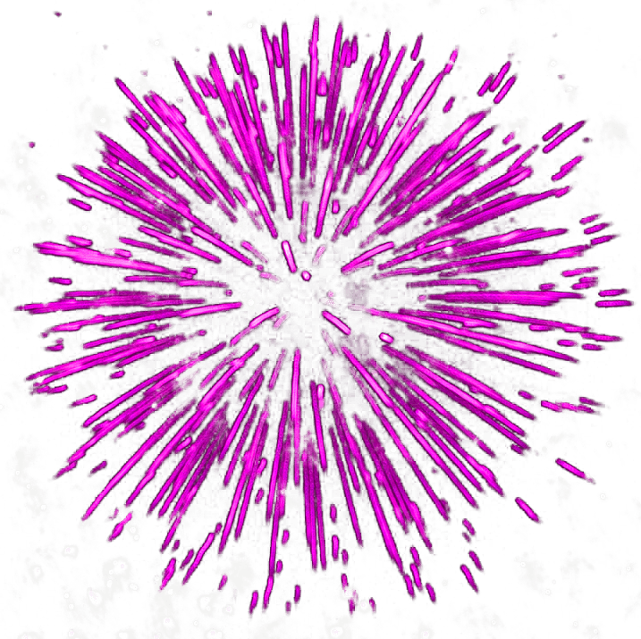 Download Firework Explosion Transparent Background Png Image ...