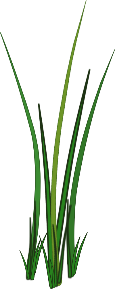 Grass Png Texture - Transparent Grass Texture Png (400x1000), Png Download