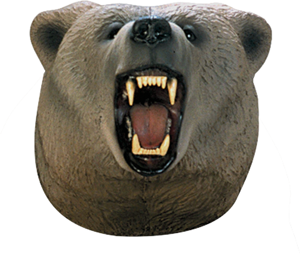 Grizzly Bear Archery Target Replacement Head - Bear Head Png (600x600 ...