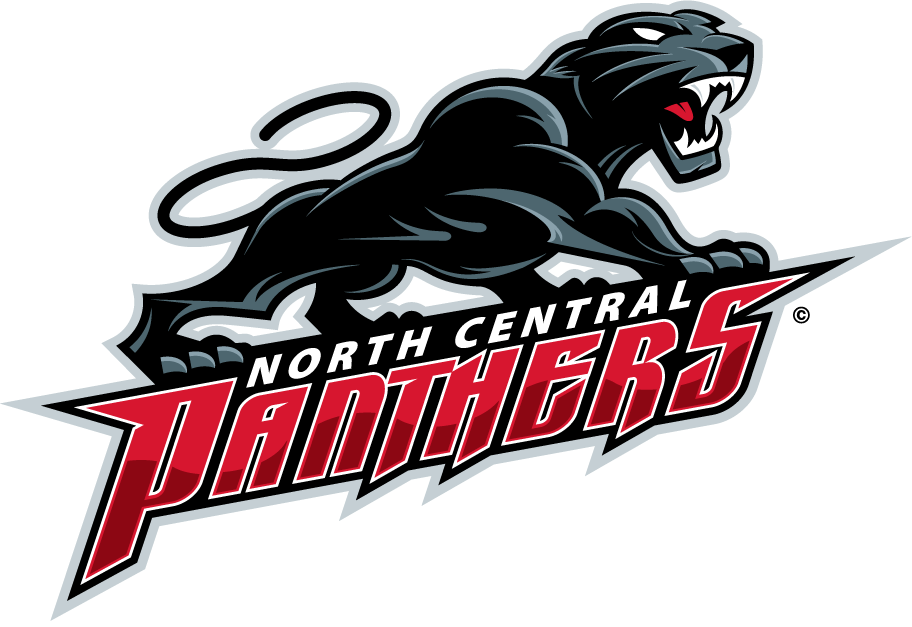 School Panther Logos - School (912x627), Png Download