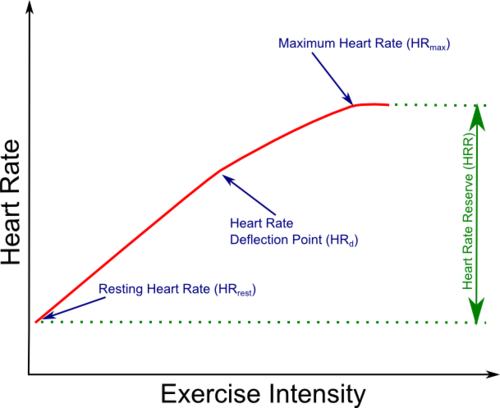 Heart Rate And Exercise Intensity Graph (500x408), Png Download