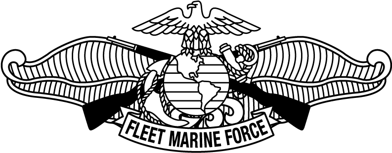 Fleet Marine Force (800x800), Png Download