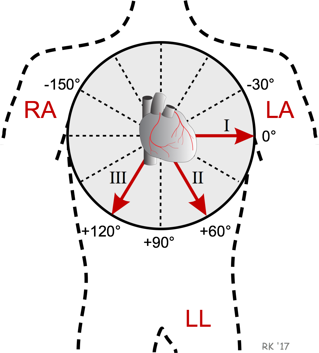 Download Ecg Vector Heart Monitor Line - Ecg Bipolar Limb Leads ...