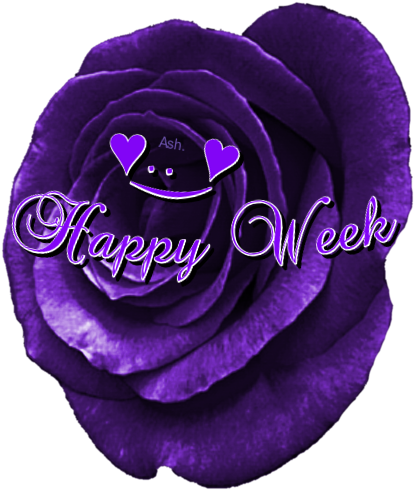 Happy Week * - Garden Roses (423x497), Png Download