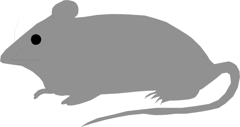 Free Stock Photos - Mice Illustration Transparent (958x506), Png Download