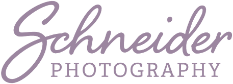 Schneider Logo Png (1600x1068), Png Download