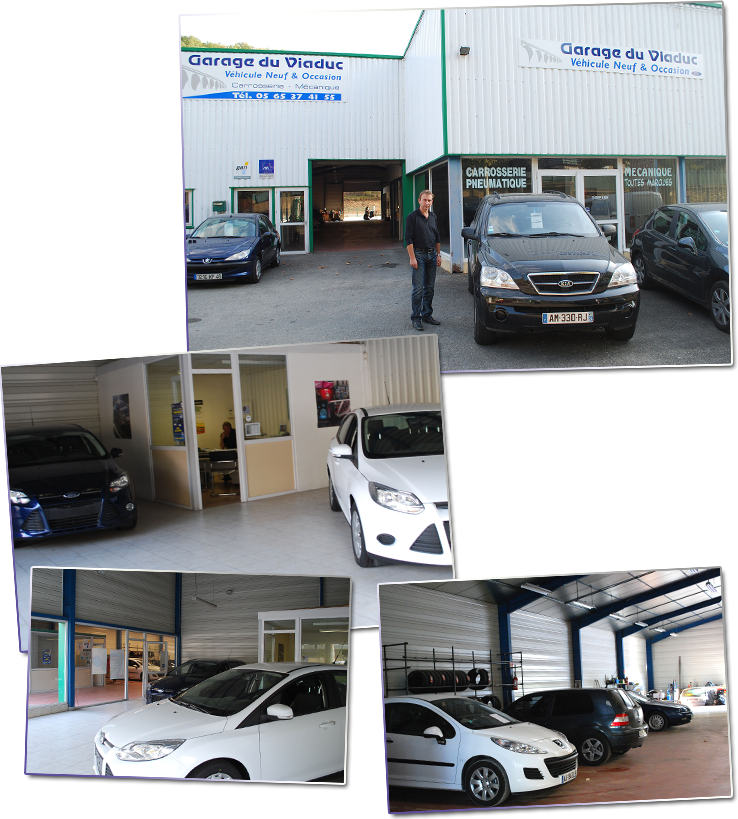 Download Ent | Transparent PNG Download | SeekPNG