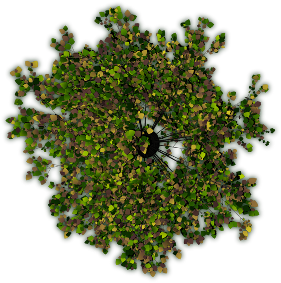 The Gallery For > Shrub Png Plan Tree Plan View Png - Shrub (565x569 ...