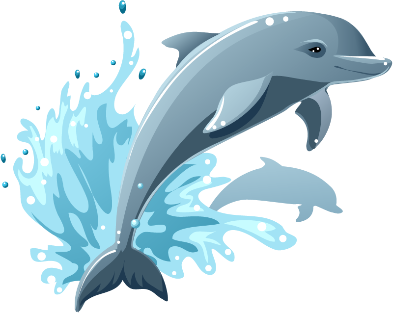 Cartoon Dolphin Vector Illustration - Dolphin Cartoon (800x638), Png ...