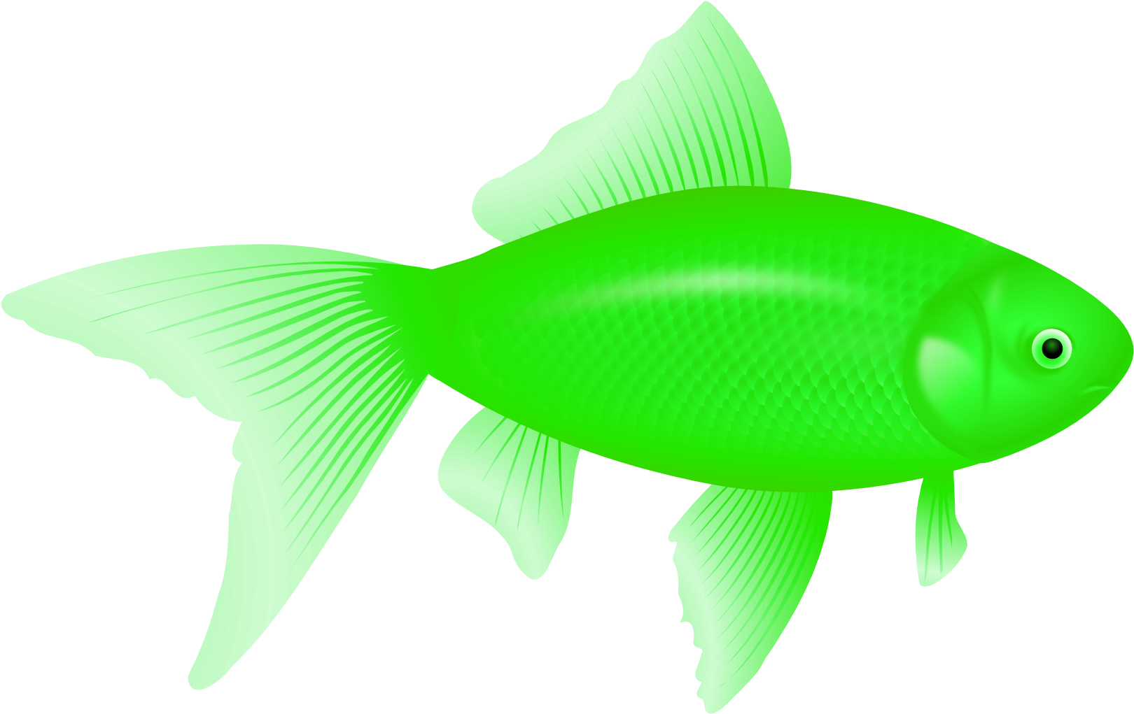 Green Fish Png Image - Green Fish Png (1969x1307), Png Download