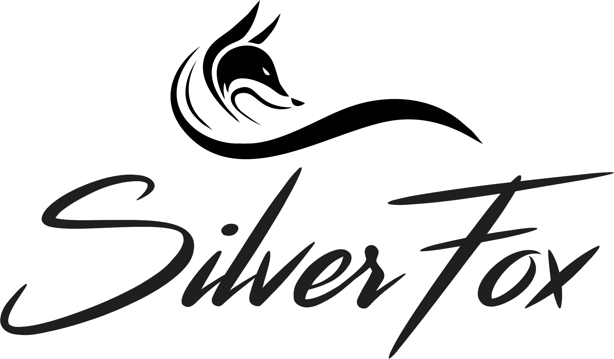 Download Silver Fox Arcade - Ifoxcreations Ifox Ife1 Bluetooth Sports ...