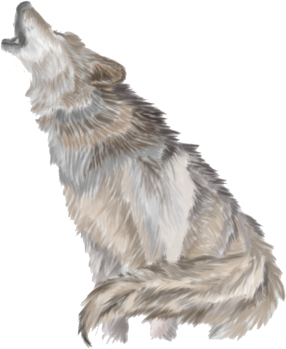 Download Wolves Howl Png - Wolf Howling Transparent Background ...
