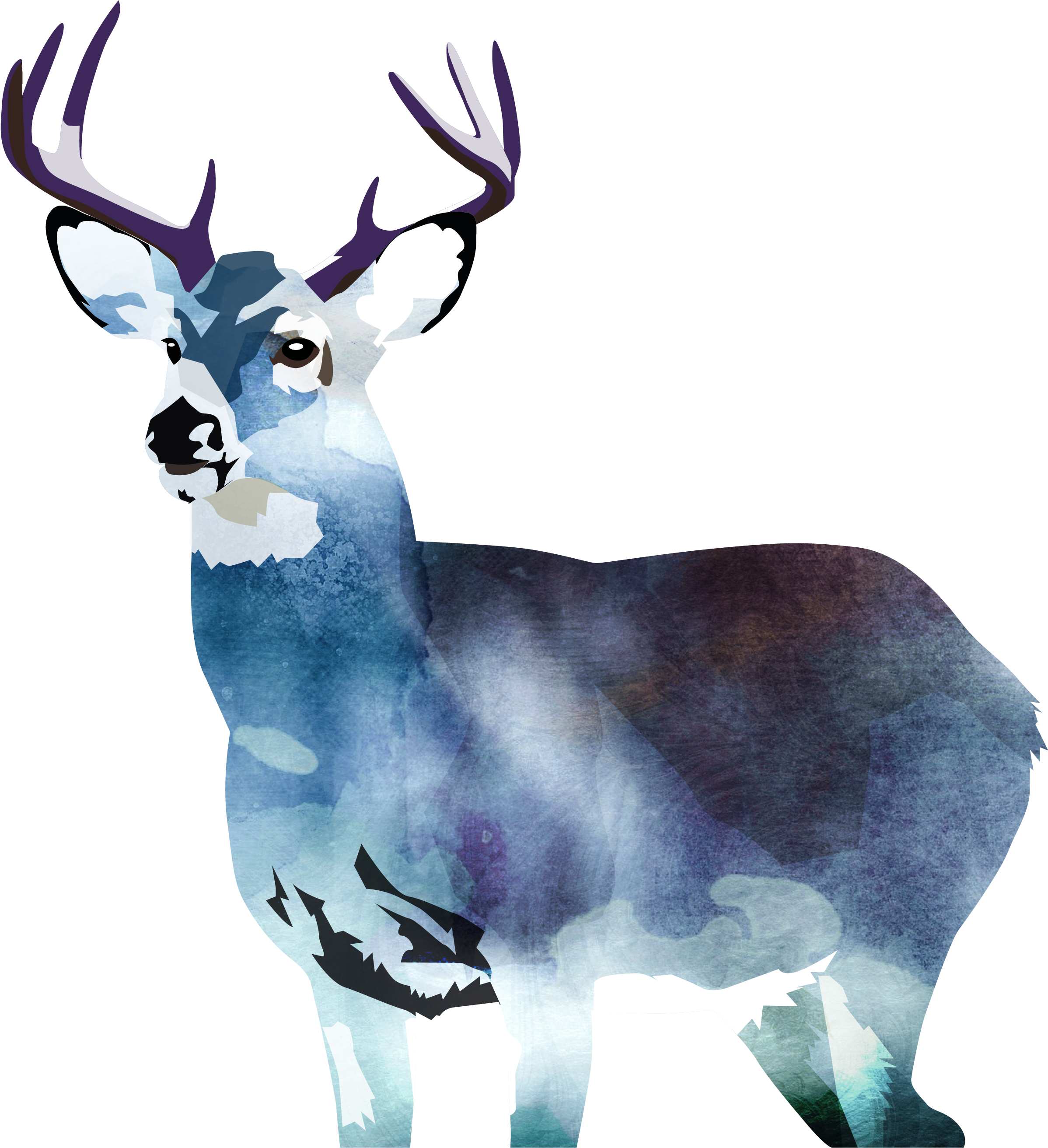 Canvas Print (2599x2743), Png Download