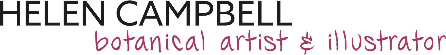 Logo - Lilac (1555x400), Png Download