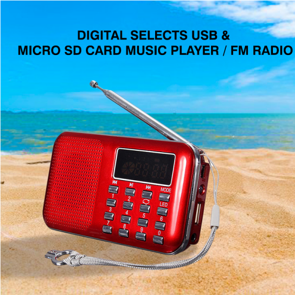 Digital Selects Usb Micro Sd Card Music Player Fm Radio-600x780 ...
