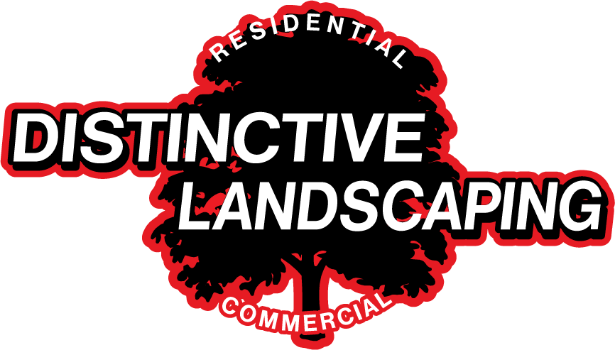 Blowing Snow Png (866x493), Png Download