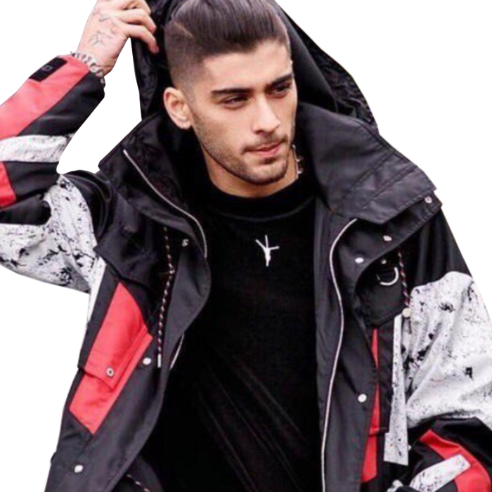 Zayn Png (700x700), Png Download