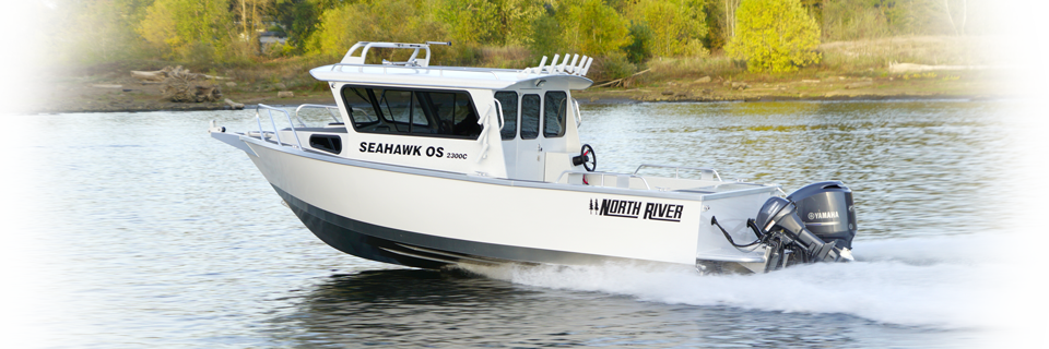 Seahawk Png (960x320), Png Download