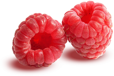 Raspberries - Raspberry Transparent (510x510), Png Download