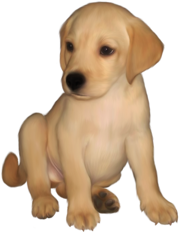 Puppy Clipart Yellow Lab - Png Image Small Size (629x823), Png Download