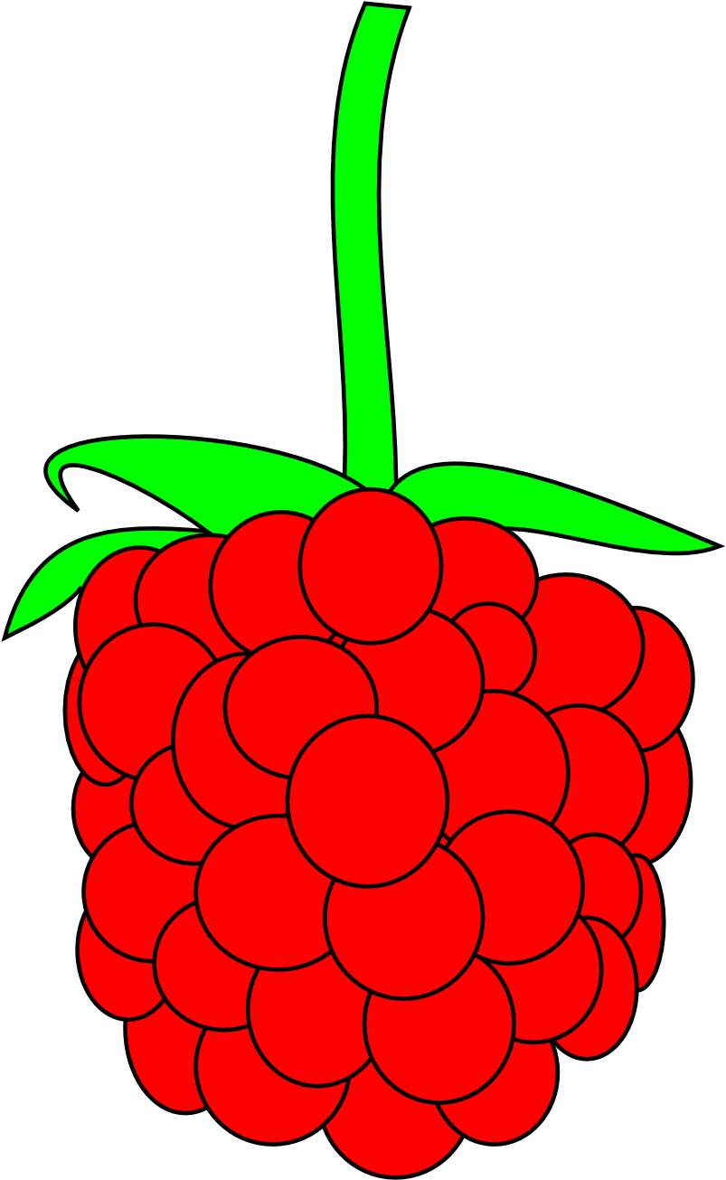 Download Raspberry Png Clipart - Berry Clipart | Transparent PNG ...