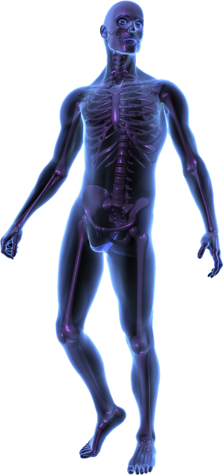 Download Human Body Silhouette Png - X Ray Human Body | Transparent PNG ...