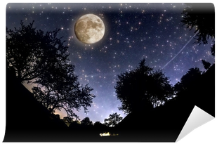 Clear Picture Of Moon (400x400), Png Download