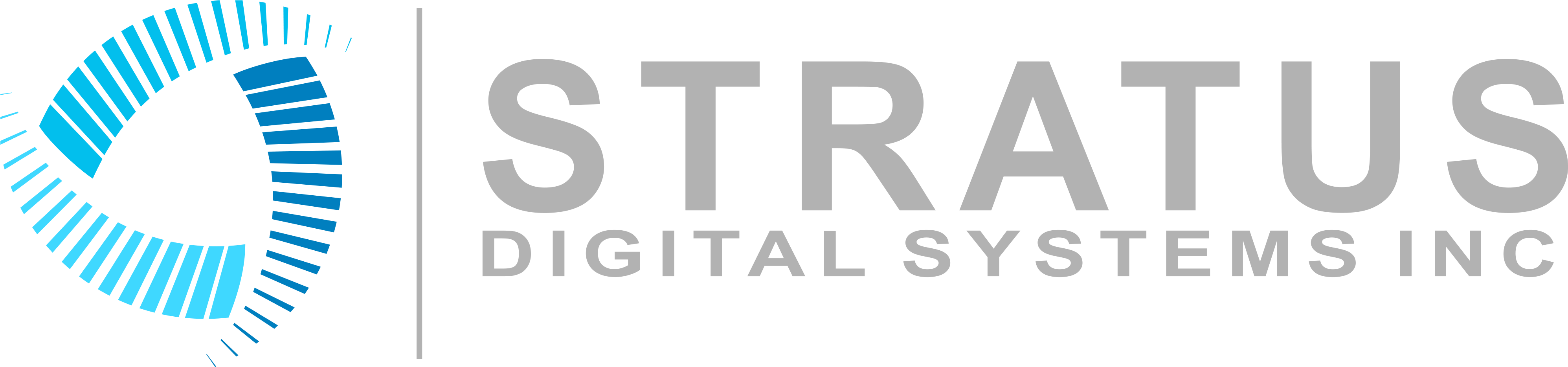 Download Greta Geankoplis, Ceo Stratus Digital Systems | Transparent ...
