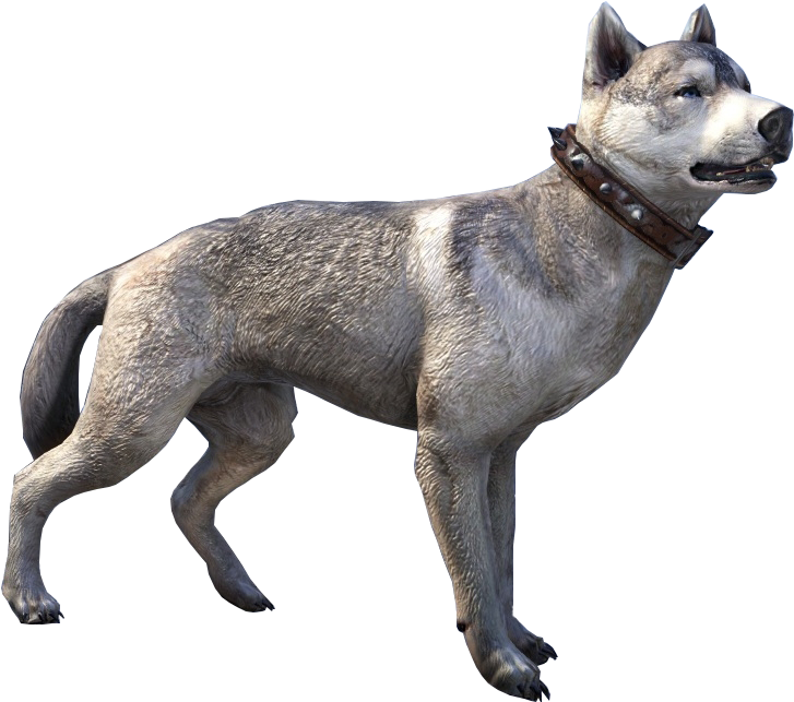 Chien Eso (735x650), Png Download