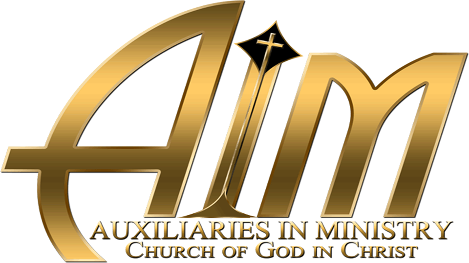 Download Aim Logo Png | Transparent PNG Download | SeekPNG